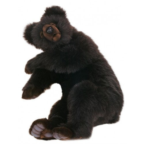 Black Bear, Snuggles 28" Long